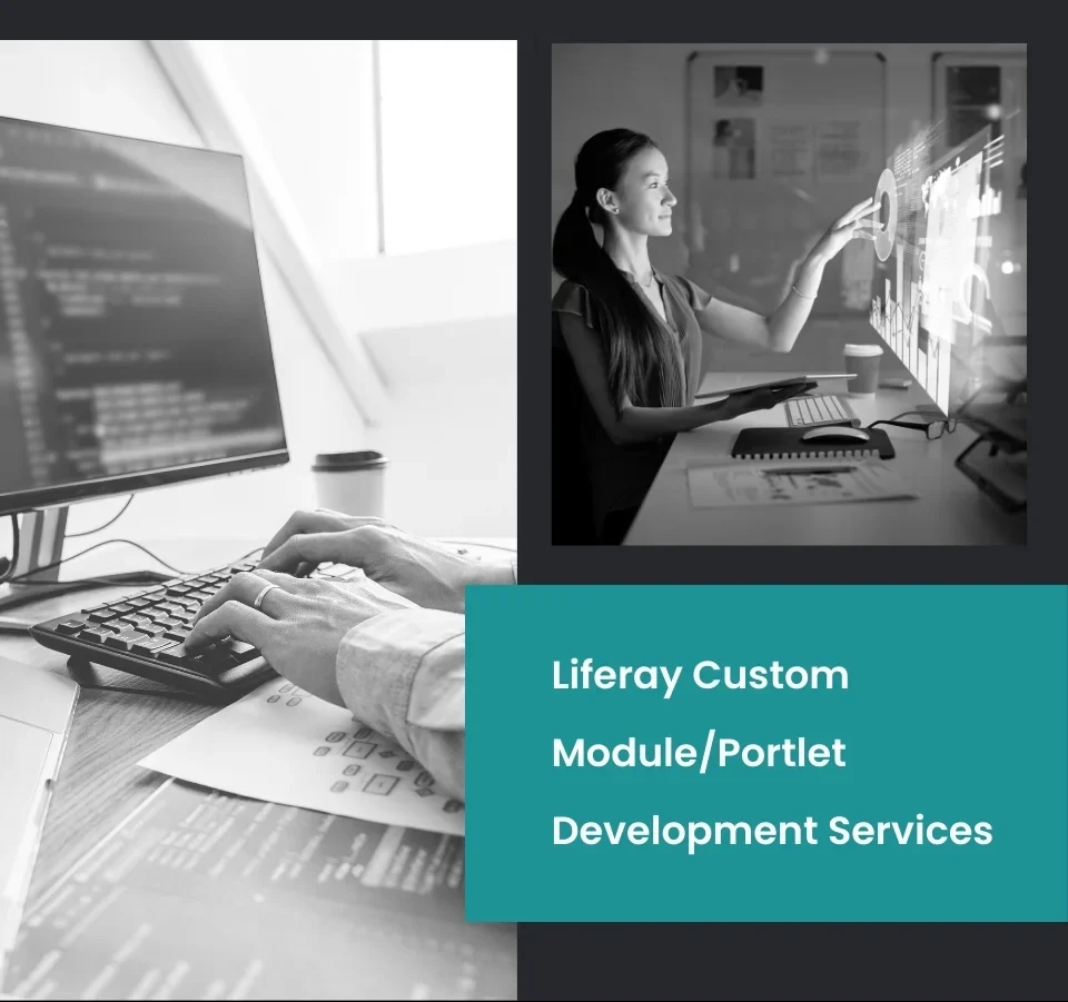 Liferay Development and Customization Services - IGNEK Liferay Development and Customization Services - IGNEK